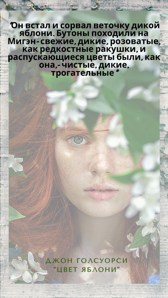 цвет яблони