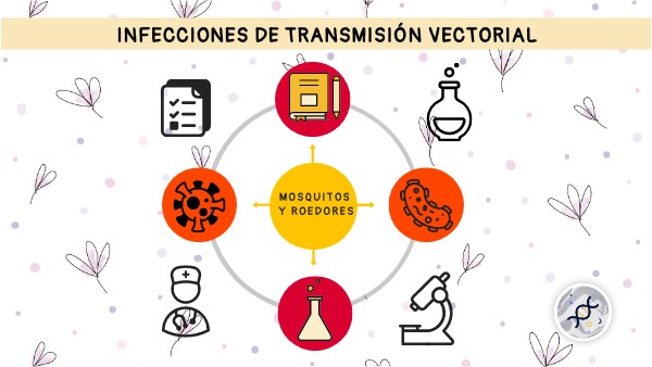 TRANSMISION VECTORIAL