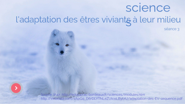adaptation des animaux ? leur milieu