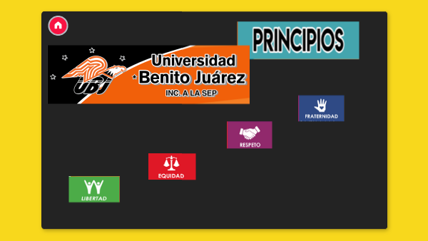 PRINCIPIOS UBJ