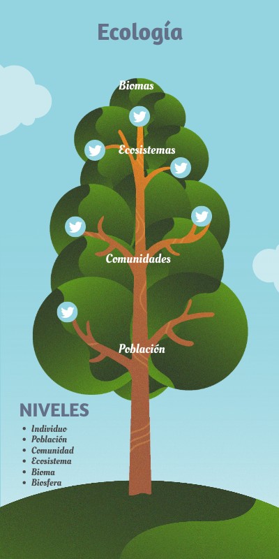 niveles ecologicos