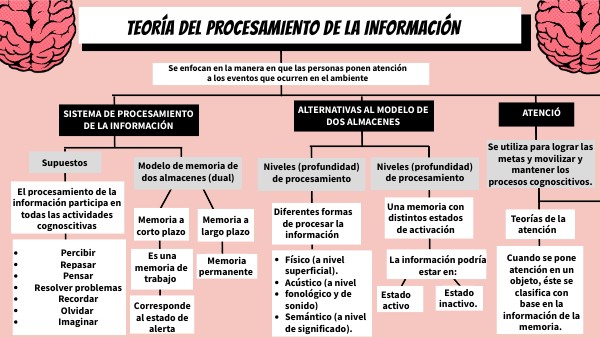 teorías del procesamiento de la información