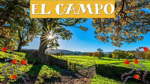 EL CAMPO