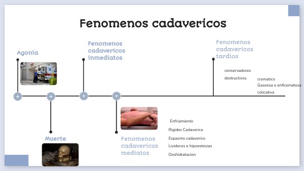 fenomenos cadavericos