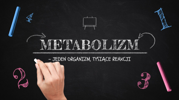 METABOLIZM