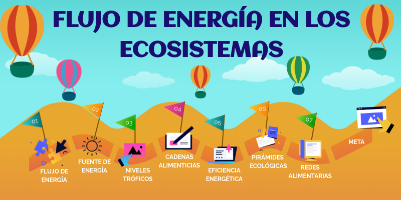 FLUJO DE ENERGÍA EN LOS ECOSISTEMAS