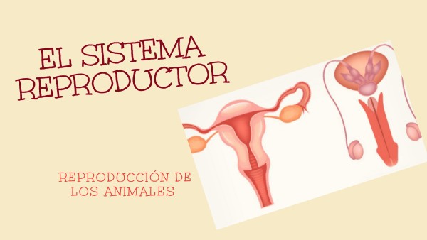 sistema reproductor