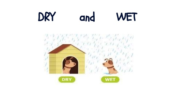 WET AND DRY FLASHCARDS