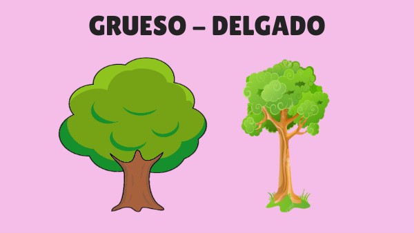 GRUESO- DELGADO