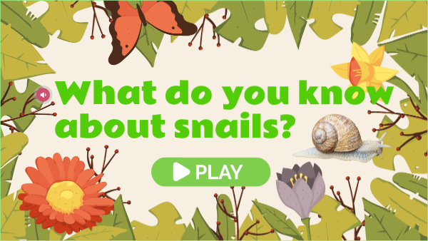 Snails Facts