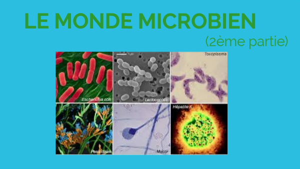 Le Monde Microbien Définition _ Le Monde Microbien Exercices Corrigés ...