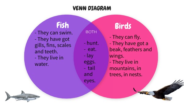2C Venn Diagram: fish and birds