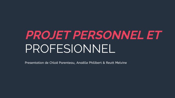Projet Personnel et Professionnel