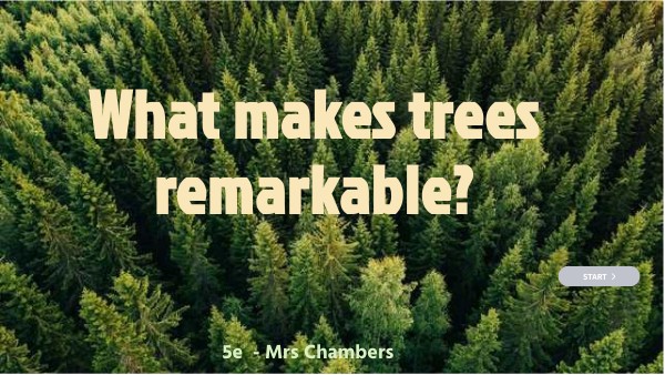 Remarkable Trees