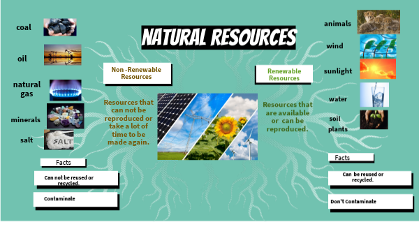 natural resources
