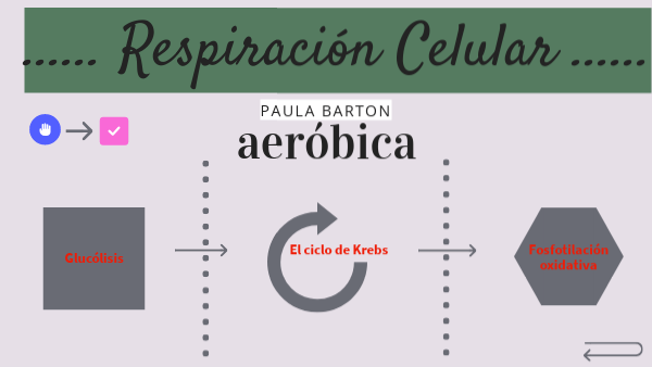 Respiración celular