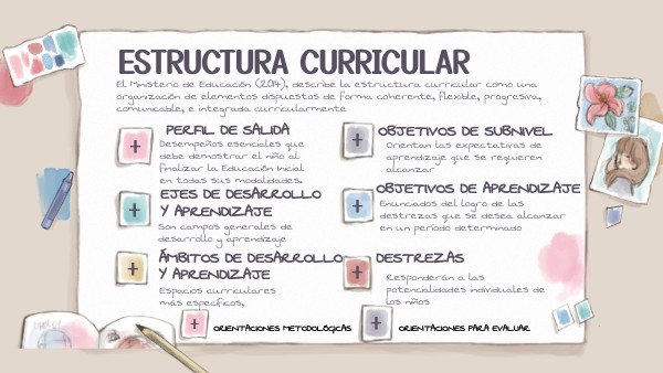 Estructura Curricular