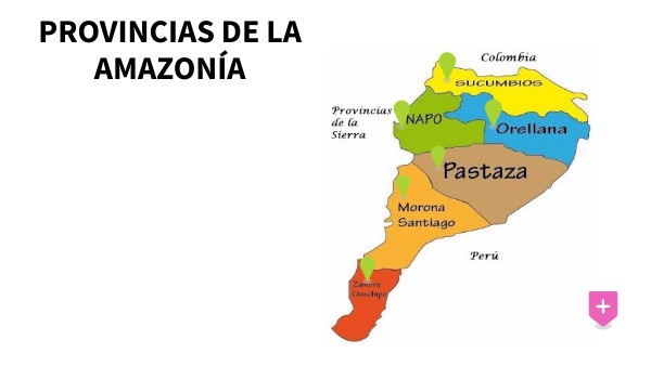PROVINCIAS DE LA AMAZONÍA