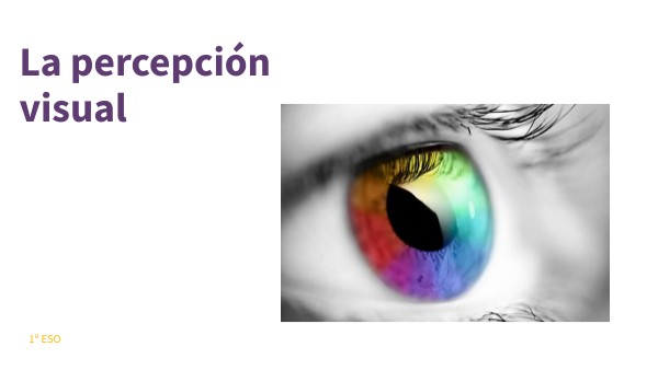 LA PERCEPCIÓN VISUAL 1ºESO