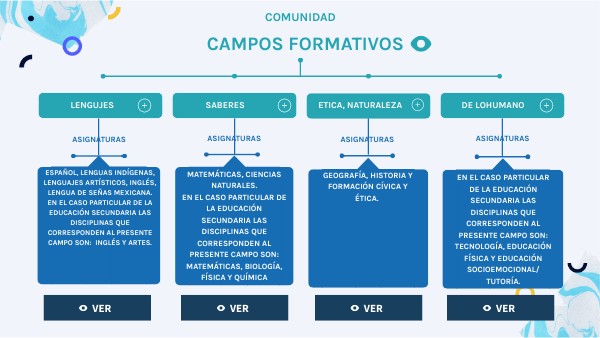 MAPA CONCEPTUAL CAMPOS FORMATIVOS