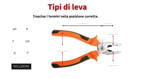 Tipi di leva