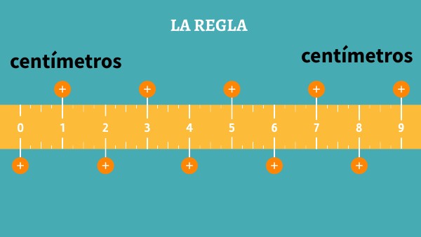 Regla con cm