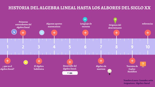 Historia del Algebra Lineal hasta los Albores del Siglo XX