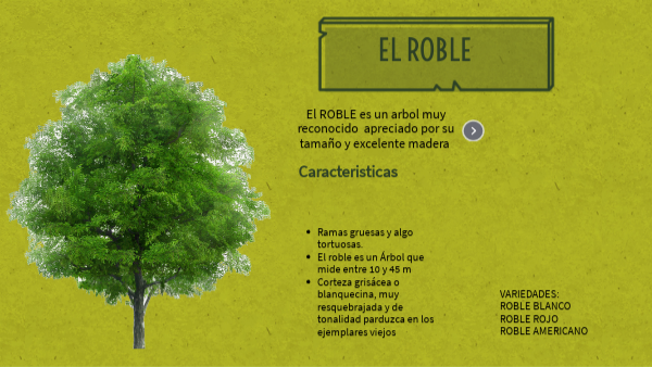 ROBLE1