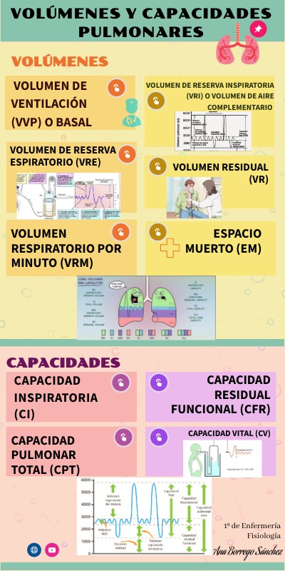Volúmenes y capacidades pulmonares