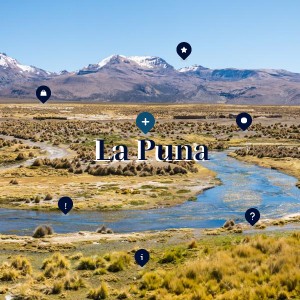 La Puna