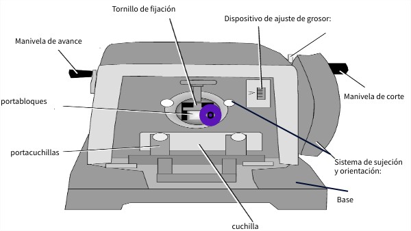 Partes del microtomo