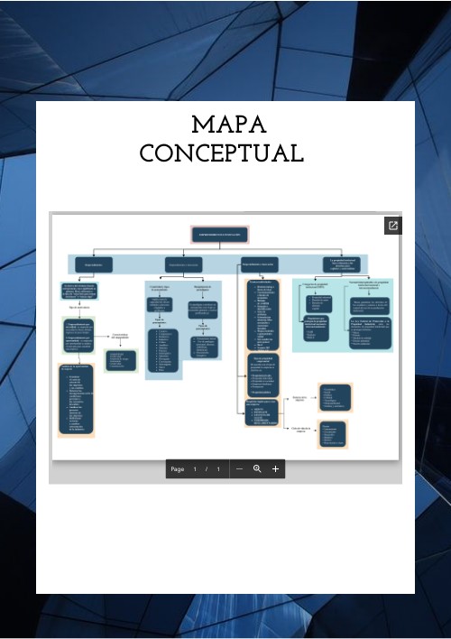 mapa conceptual