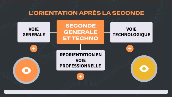 L'orientation en seconde
