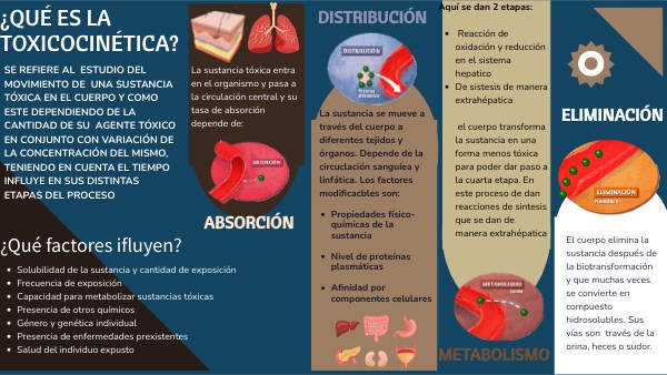 TOXICOCINÉTICA Y FASES