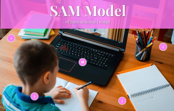 SAM Model