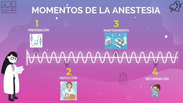 Momentos de la anestesia