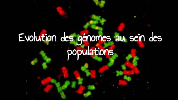 T Spé Evolution Des Génomes Au Sein Des Populations