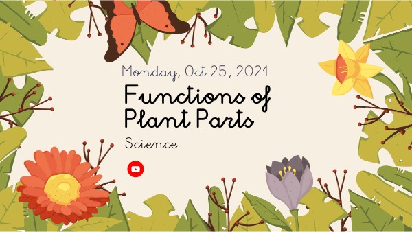 Functions Plant Parts By Lineth Aguilera On Genially functions-plant-parts-by-lineth-aguilera-on-genially