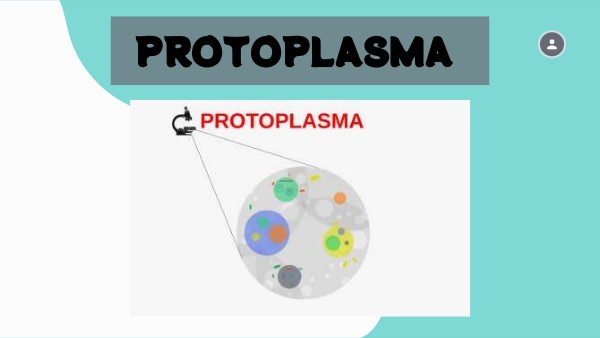 PROTOPLASMA
