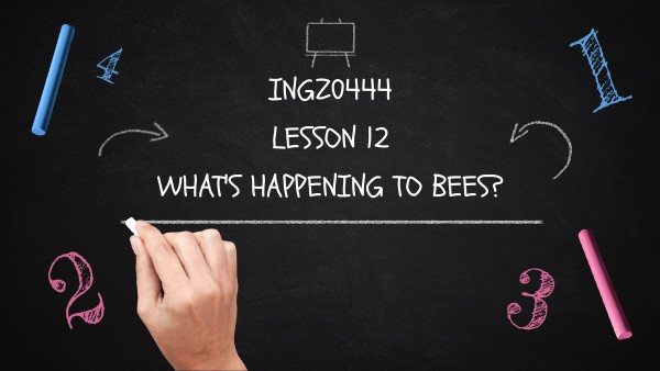 lesson-12-ingz0444