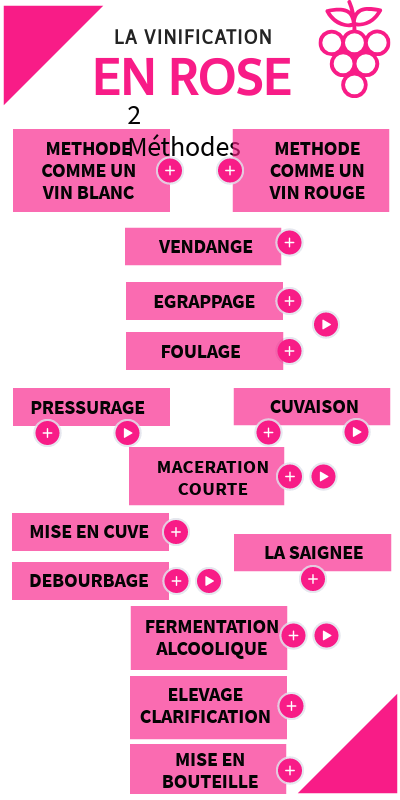 VINIFICATION EN ROSE