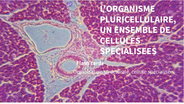 Cellule spécialisée