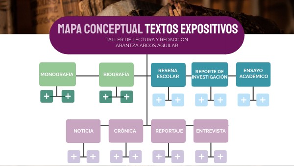 Mapa CONCEPTUAL textos expositivos