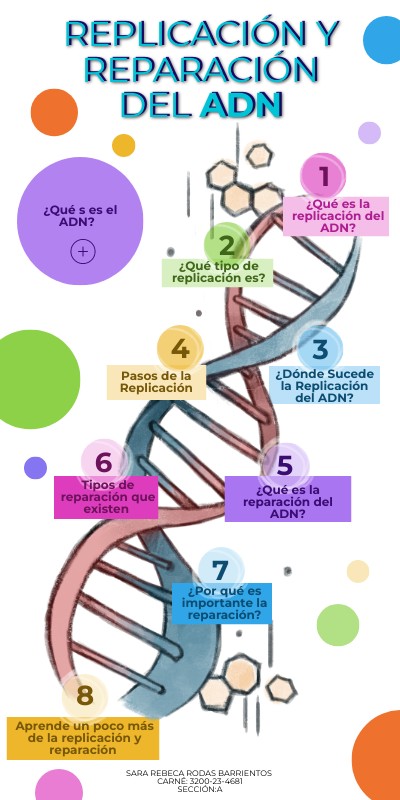 Replicación y Reparación del ADN