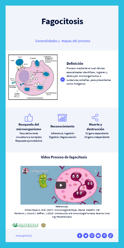 Fagocitosis