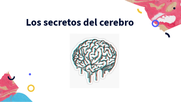 el secreto del crebro