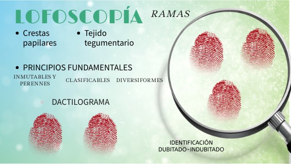 LOFOSCOPIA