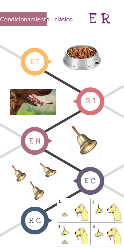 condicionamiento clásico