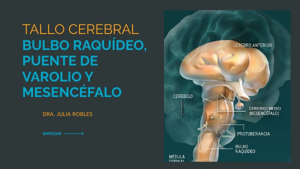 Protuberancia Cerebral