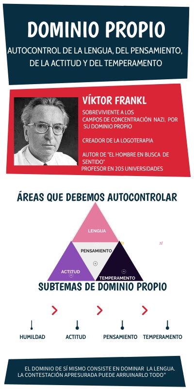 INFOGRAFÍA DE DOMINIO PROPIO